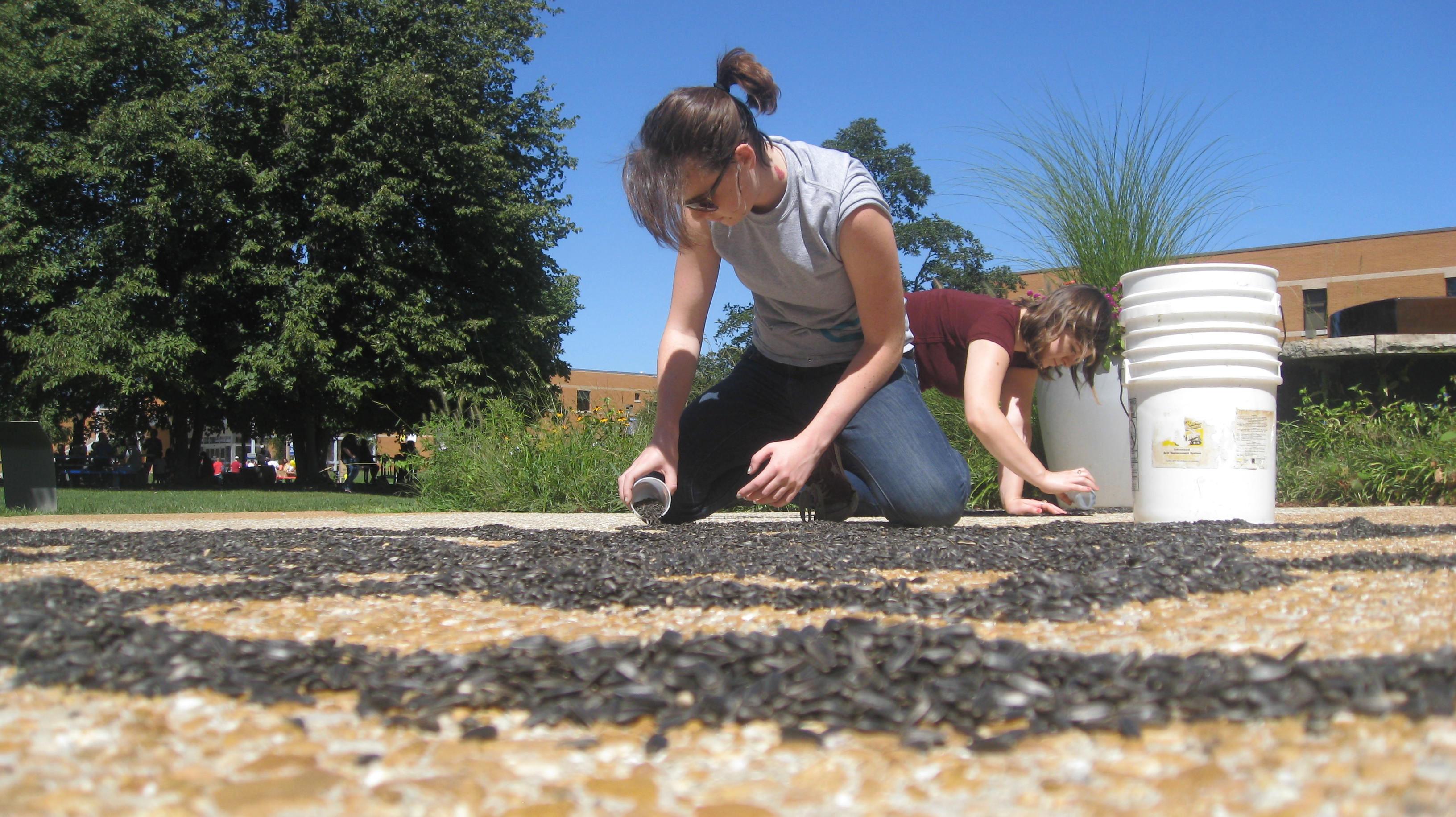 Public Works Project Awarded- Jessica Witte – Critical Mass for the ...